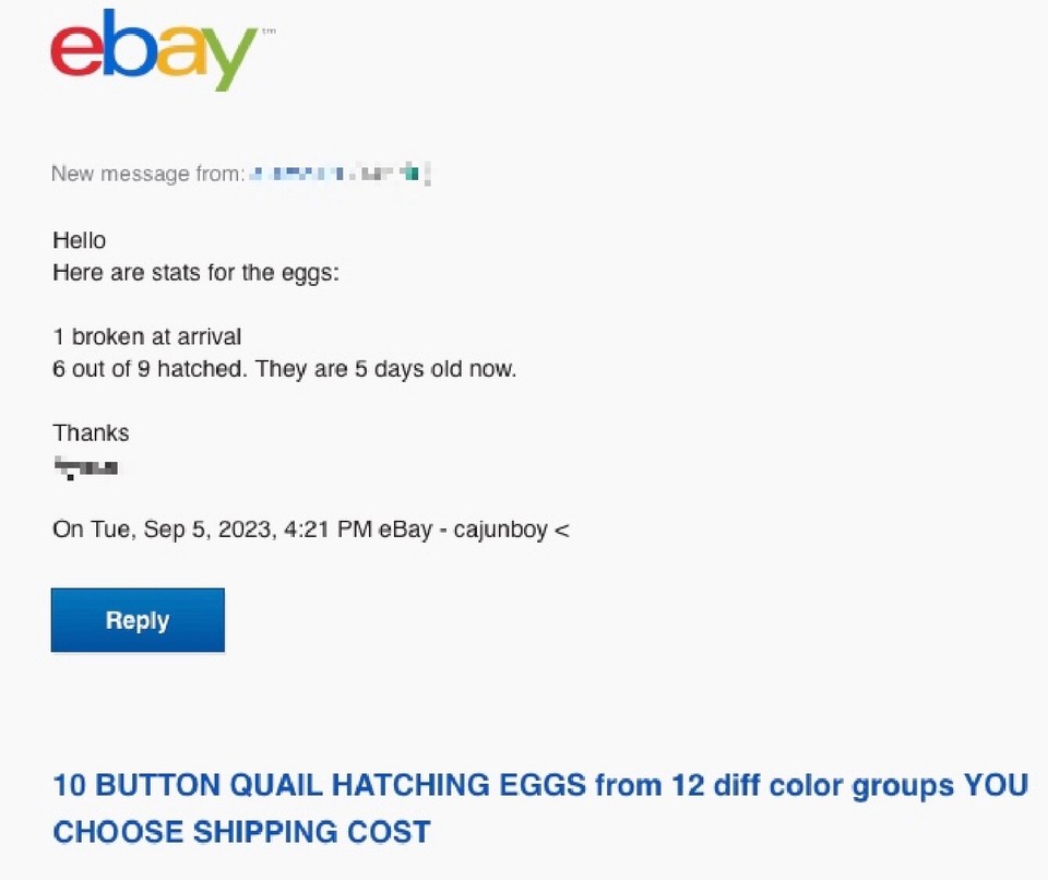 20 BUTTON QUAIL HATCHING EGGS choose from 12+ colors ships 2 Day FedEx ...