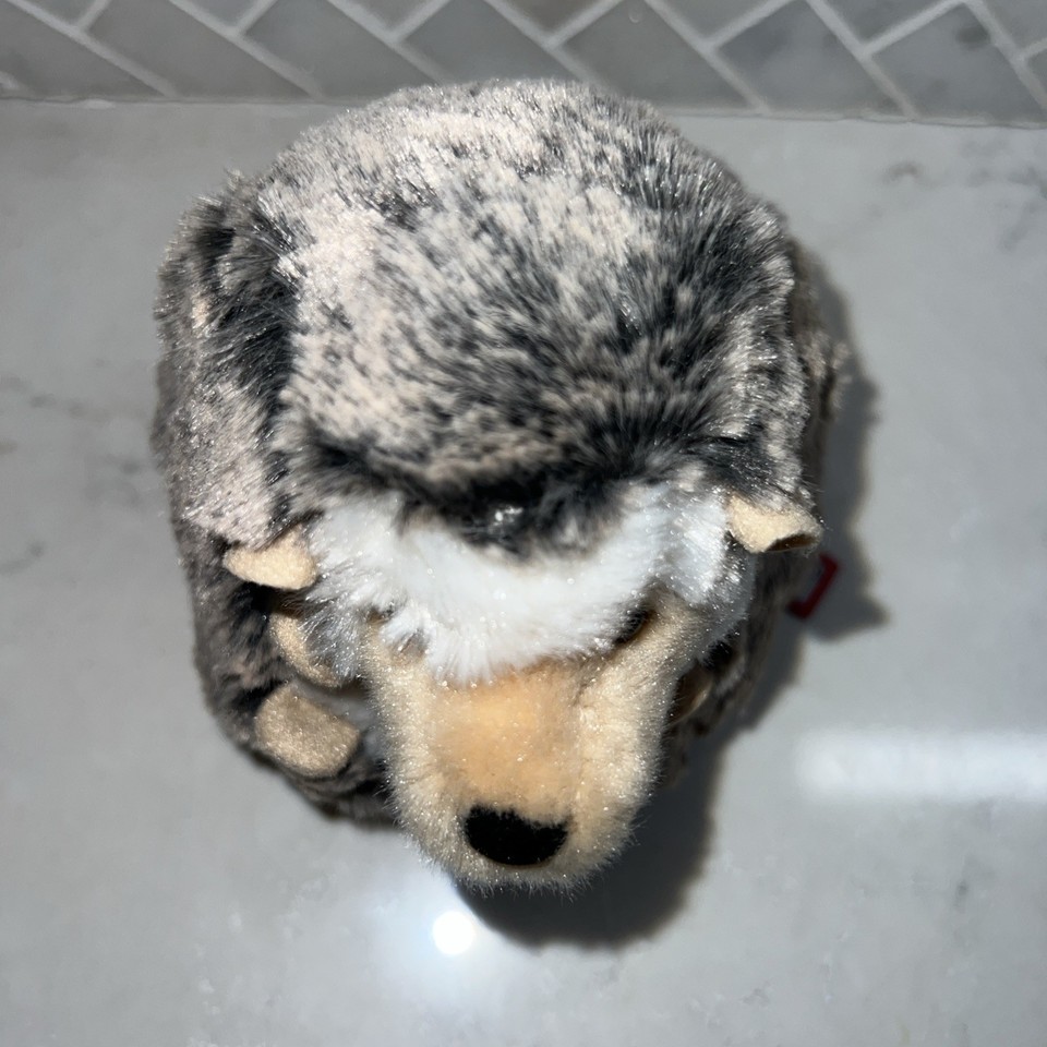 Douglas Cuddle Spunky the Hedgehog #4101 Bean Plush Stuffed Animal 5 ...