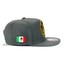 MEXICAN Hat MEXICO Federal Logo State Embroidery Snapback Flat Bill ...