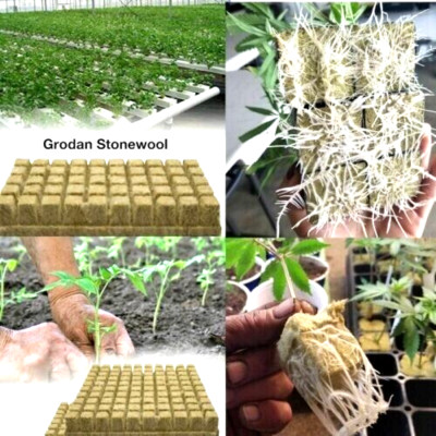 HYDROCULTURE GROWING ORGANIC MEDIA AGRICULTURE MINI BLOCKS CUBE PLANT ...