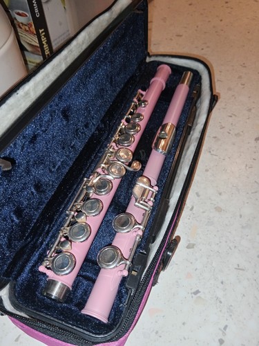 Pink Vivace III by Kurioshi Flute Outfit | eBay