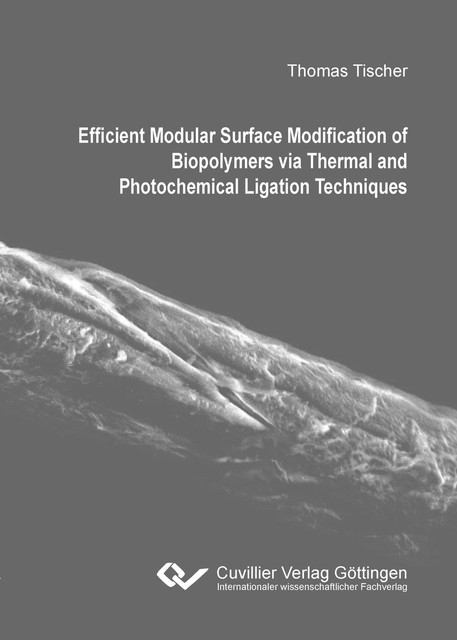 Efficient Modular Surface Modification of Biopolymers via Thermal and ...