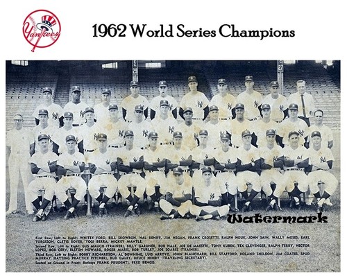 MLB 1962 New York Yankees World Series Champions Team Picture 8 X 10 ...