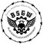 BSGW Custom Handcrafted 15W Modern Lead Guitar Valve Tube Amplifier ...