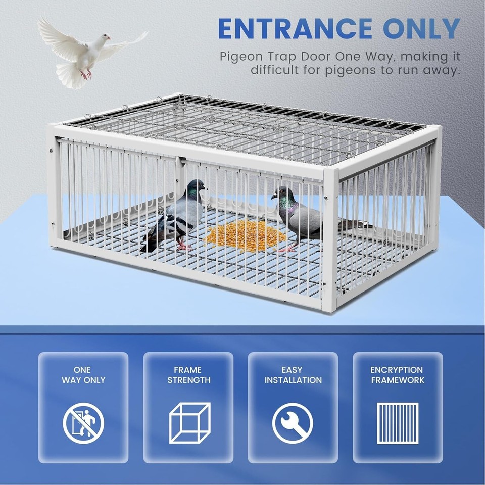 Pigeon Trap Cage Bird Traps for Small Birds Folding One-Way Entrance ...