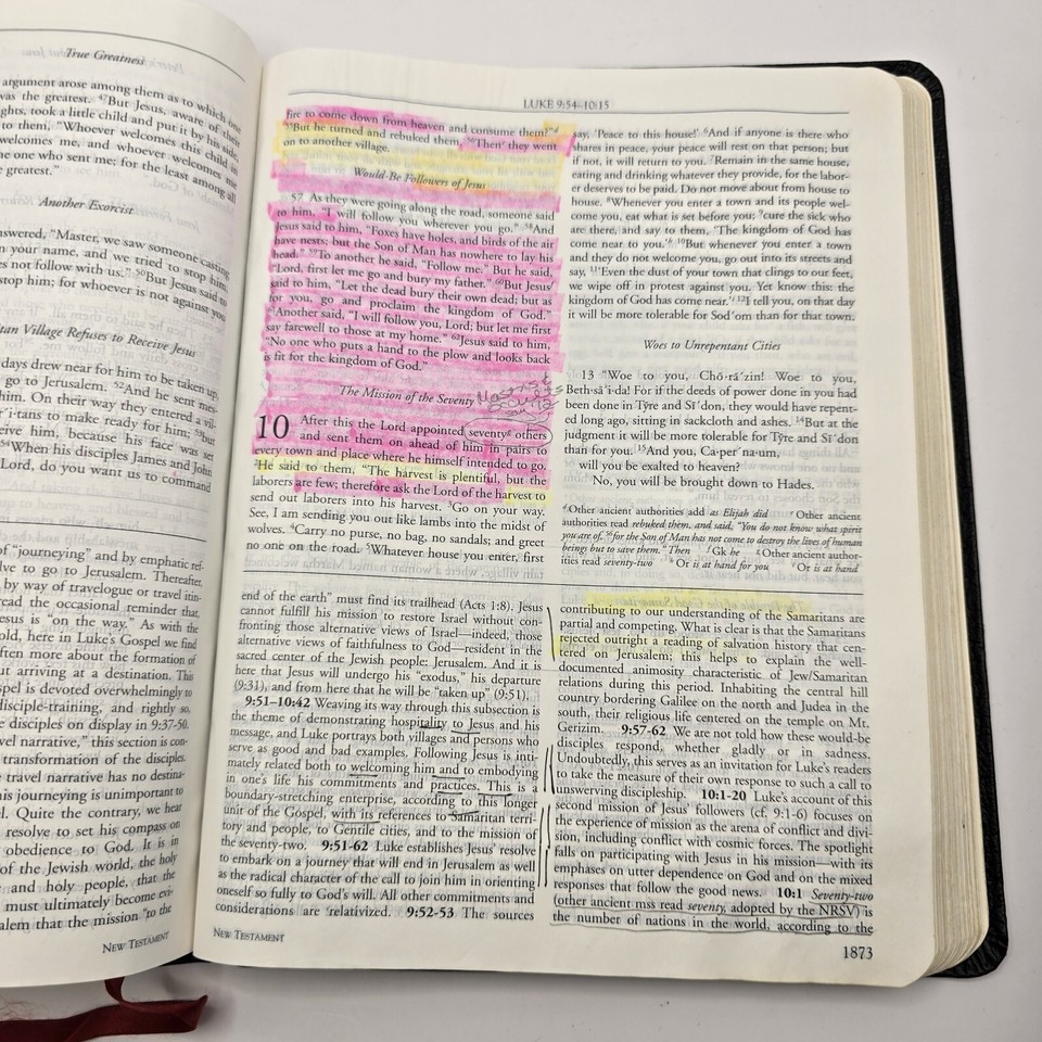 The New Interpreter's Study Bible NRSV w/ Apocrypha Genuine Leather ...