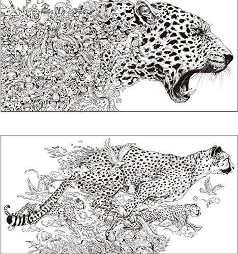 Animorphia Coloring Book Adult Gift Anti Stress Adult Fantasy Adventure ...