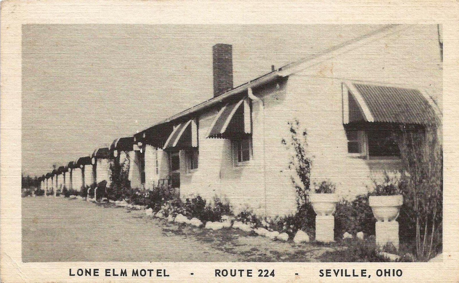 Postcard Ohio Seville Lone Elm Motel Unused MINT 1930-40s Medina County ...
