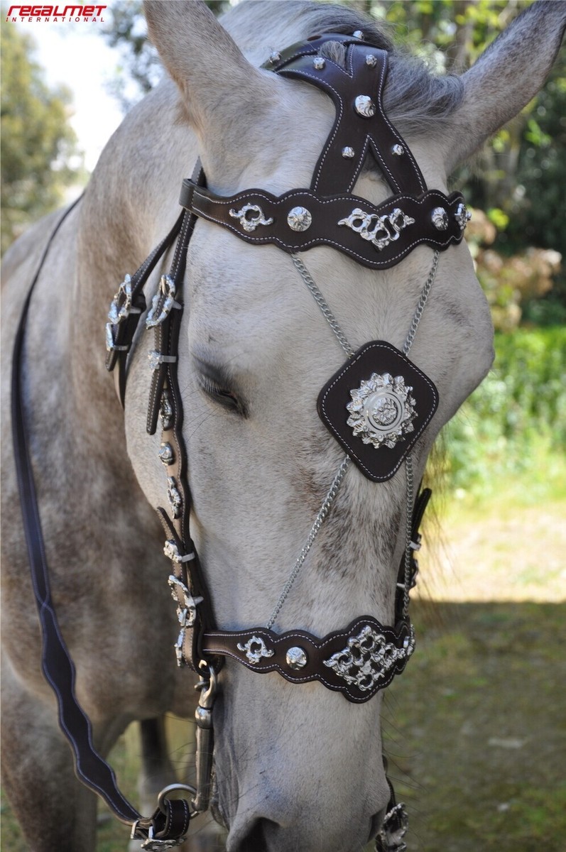 Horse Bridle Tattoos