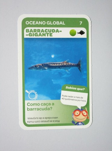 GREAT BARRACUDA OCEAN LIFE LISBON OCEANARIUM COLLECTIBLE CARD | eBay