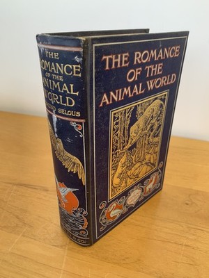 1905 The Romance of the Animal World by Edmund Selous Illustrated | eBay UK