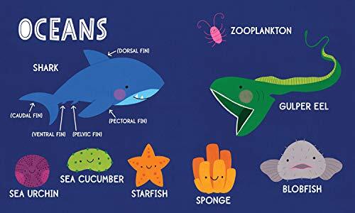 My First 100 Animal Words: Expand Vocabulary and Teach Babies and ...