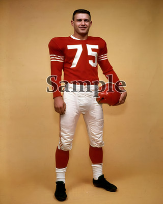 CFL 1958 Hal Patterson Montreal Alouettes Color Picture 8 X 10 Photo ...