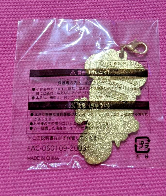Japan Tokyo Disney Land Sea TDL TDS Charm Minnie adventure Limited ...