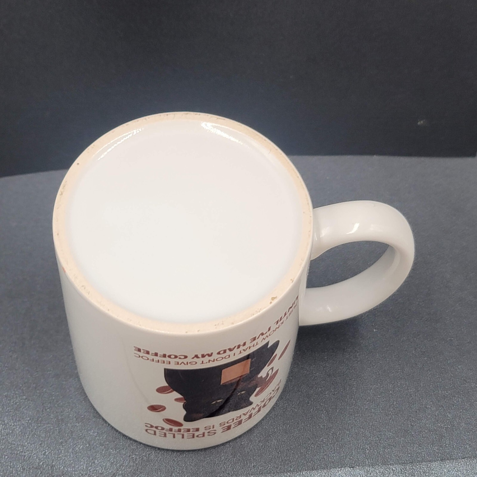 FUNNY COFFEE CAT MUG EEFFOC IS COFFEE SPELLED BACKWARDS 11 OZ CUTE CUP ...