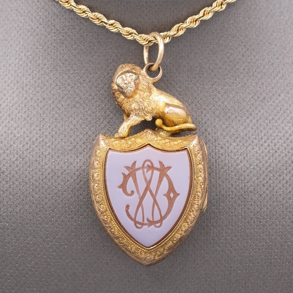 Victorian Lion Shield Locket with Sardonyx and Bloodstone in 14k | eBay