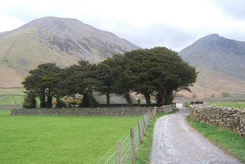 Photo 6x4 St Olaf's church surrounded by yew trees, Wasdale Head ...