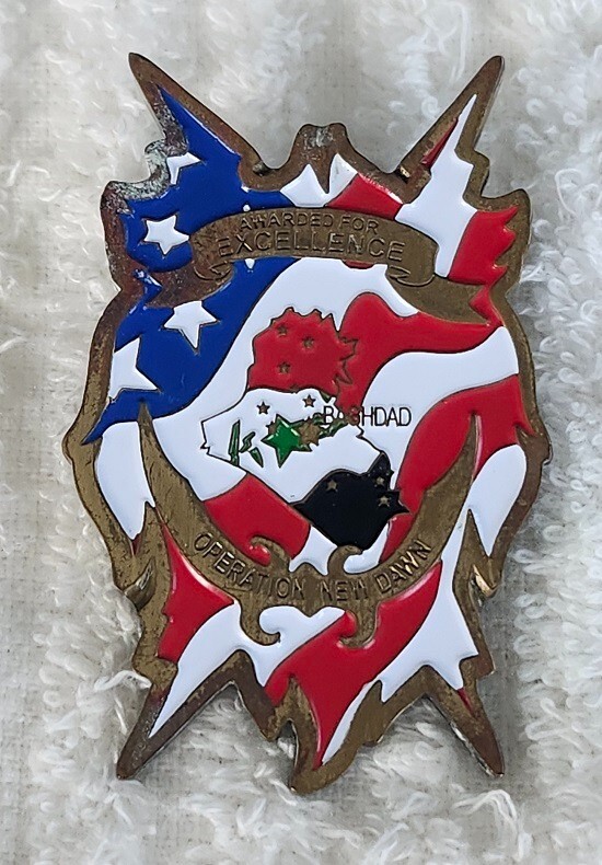 AUTHENTIC 50TH SIGNAL BN EXPD BAGHDAD IRAQ TF TWIN LIONS MILITARY ...