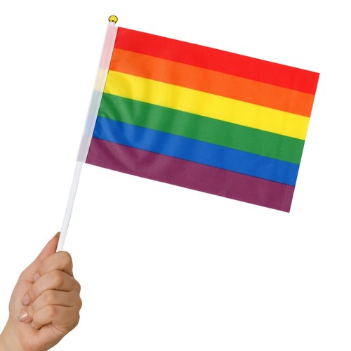 RAINBOW Gay Pride Mini Stick Flags - LGBTQ+ Small Hand Held Party ...