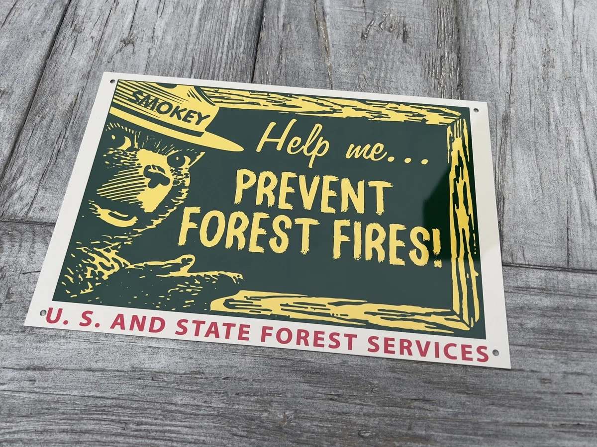Prevent Forest Fires