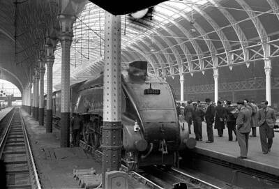 London And North Eastern Railway A4 Pacific No 60033 Seagullon Train ...