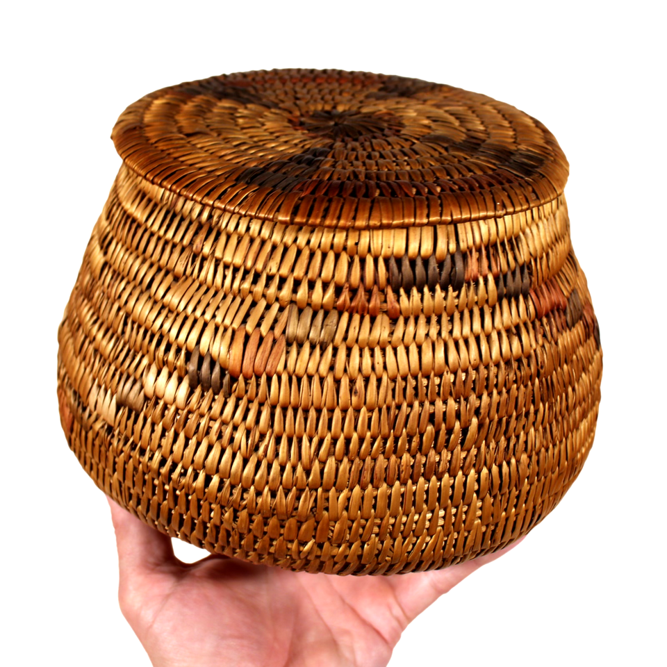 JICARILLA APACHE INDIAN BASKET NATIVE AMERICAN LIDDED VINTAGE ANTIQUE SOUTHWEST | eBay