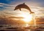 Chillout Dolphin Jump Ocean Sunset 3D Full Wall Mural Photo Wallpaper ...