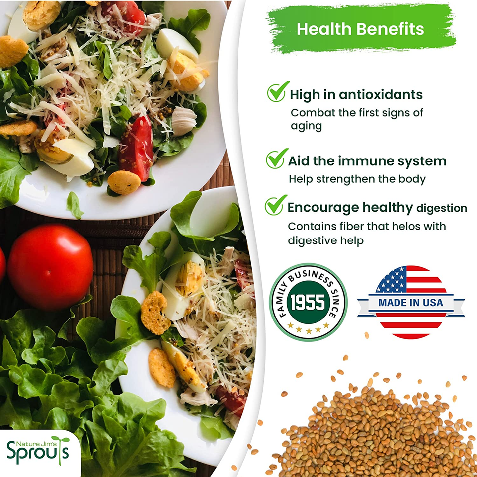 Organic Sprout Mix Seeds - Salad Growing Kit - Non-GMO Microgreens ...