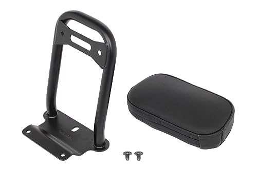 Special Parts Takegawa Backrest kit Eliminator/SE (2023 model 8BL ...