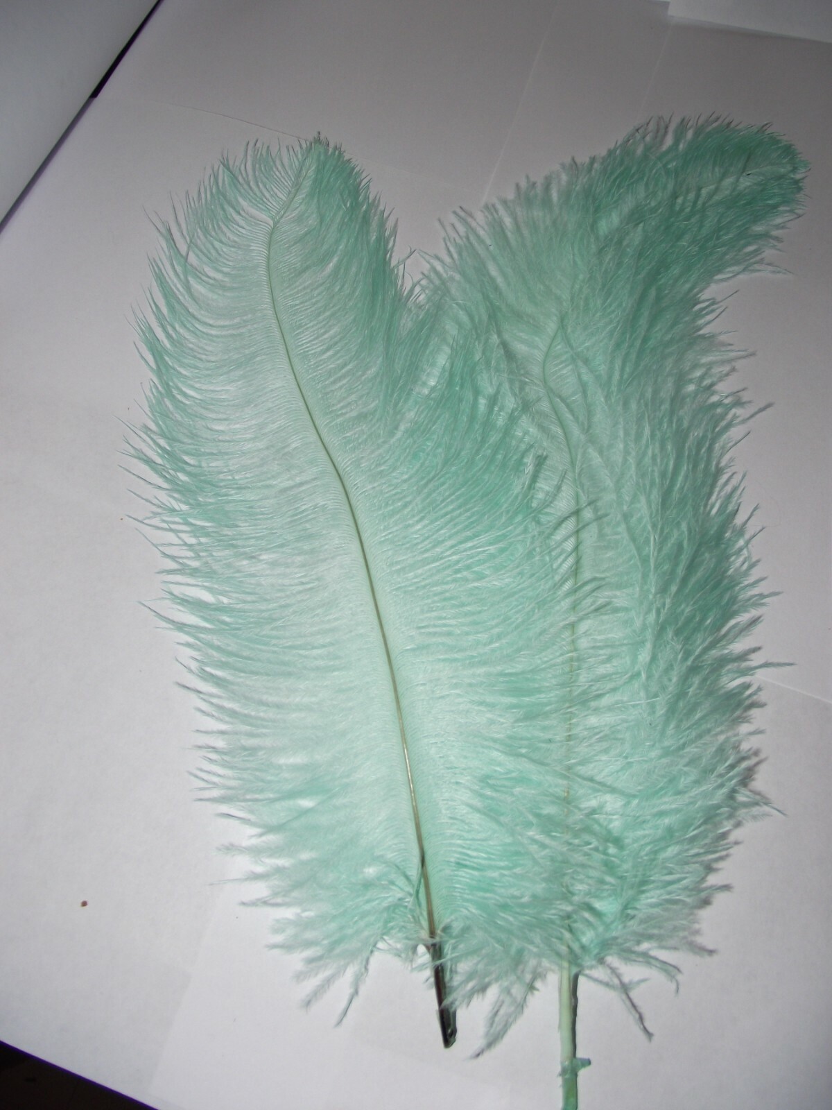 5 OSTRICH feathers 10-12" CHOOSE COLOR or MIX Drabs Plumes feather | eBay