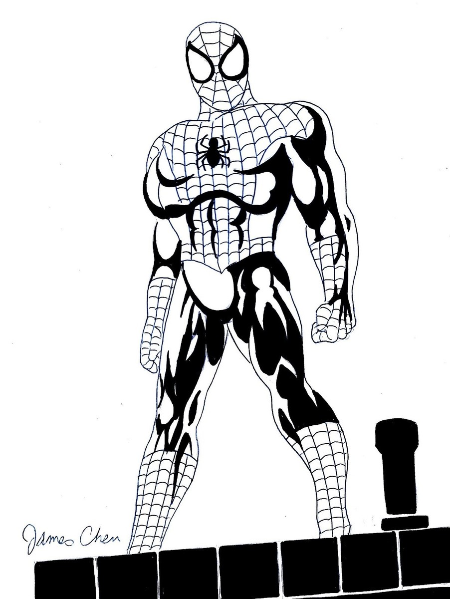 Spiderman Drawings How To Draw Spider Man VIDEO & Step By Step