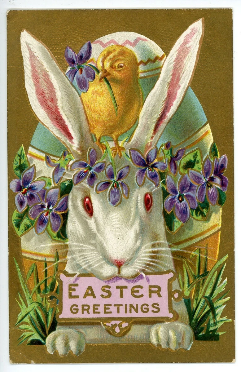 Bunny Rabbit Vintage Postcards