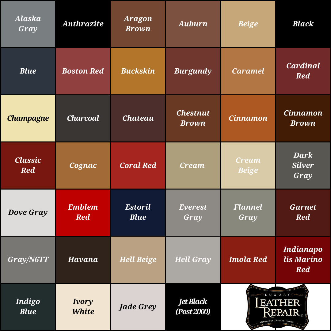 Professional Automotive BMW Leather and Vinyl Dye Kit for Color Changes ...