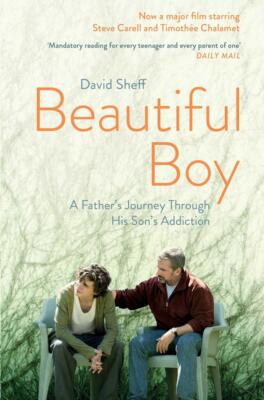 Beautiful Boy | David Sheff | englisch 9781471177934 | eBay.de