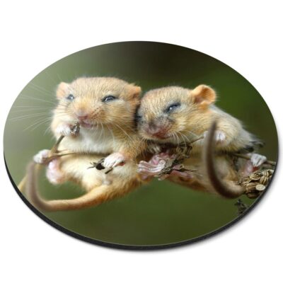 Round Mouse Mat Cute Field Mice Mouse Nature #50662 | eBay UK