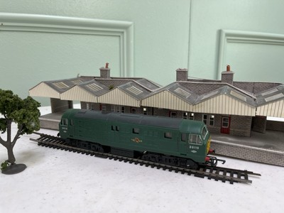 Hornby 00 Gauge BR Class 29 Diesel Locomotive no D6110 in BR Green ...