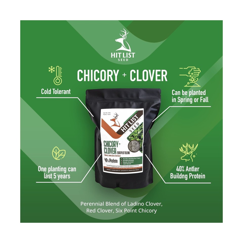 Chicory + Clover Perennial Deer Food Plot Blend, 6 lbs (1 Acre) - Chicory, La... | eBay