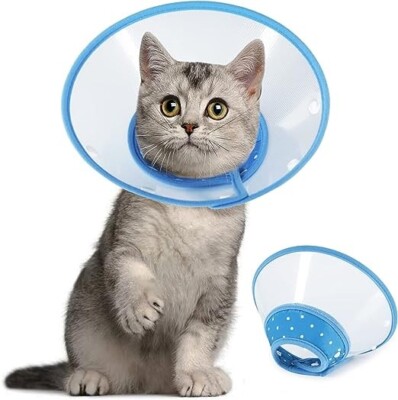 Vivifying Pet Cone, Adjustable Cat Cone, 8 Inches Lightweight Cone for ...