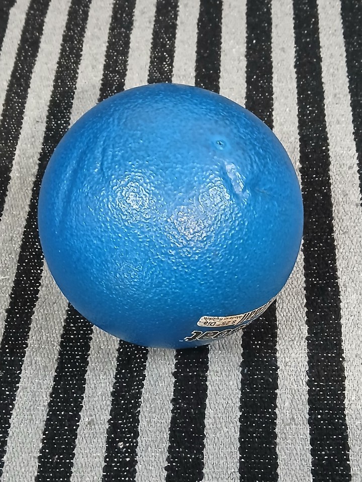 Gopher Dodgeball Classic Coat Ball Sports Ball Rainbow Set 8.25 | eBay