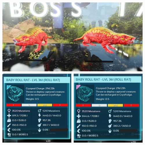ARK ASA PVE OFFICIAL PAIR BABY ROLL RAT IRONMAN ABB TOP STATUS PC/XBOX ...