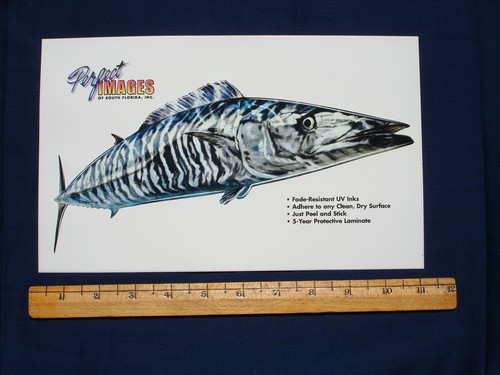 WAHOO FISH DECAL STICKER DON RAY - REVERSE IMAGE ALSO AVAILABLE | eBay.de