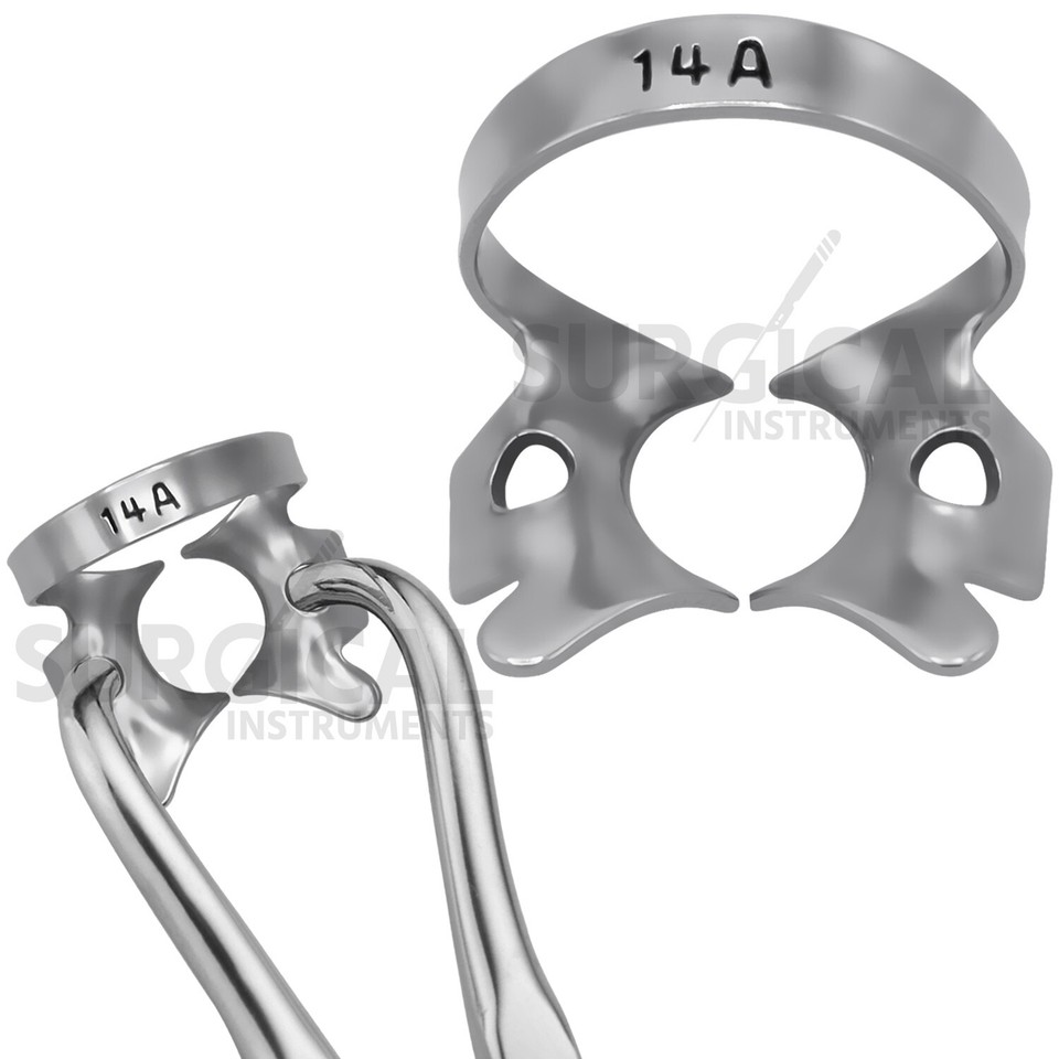 10 Pcs Endodontic Rubber Dam Clamps #14A Stainless Steel German Grade ...