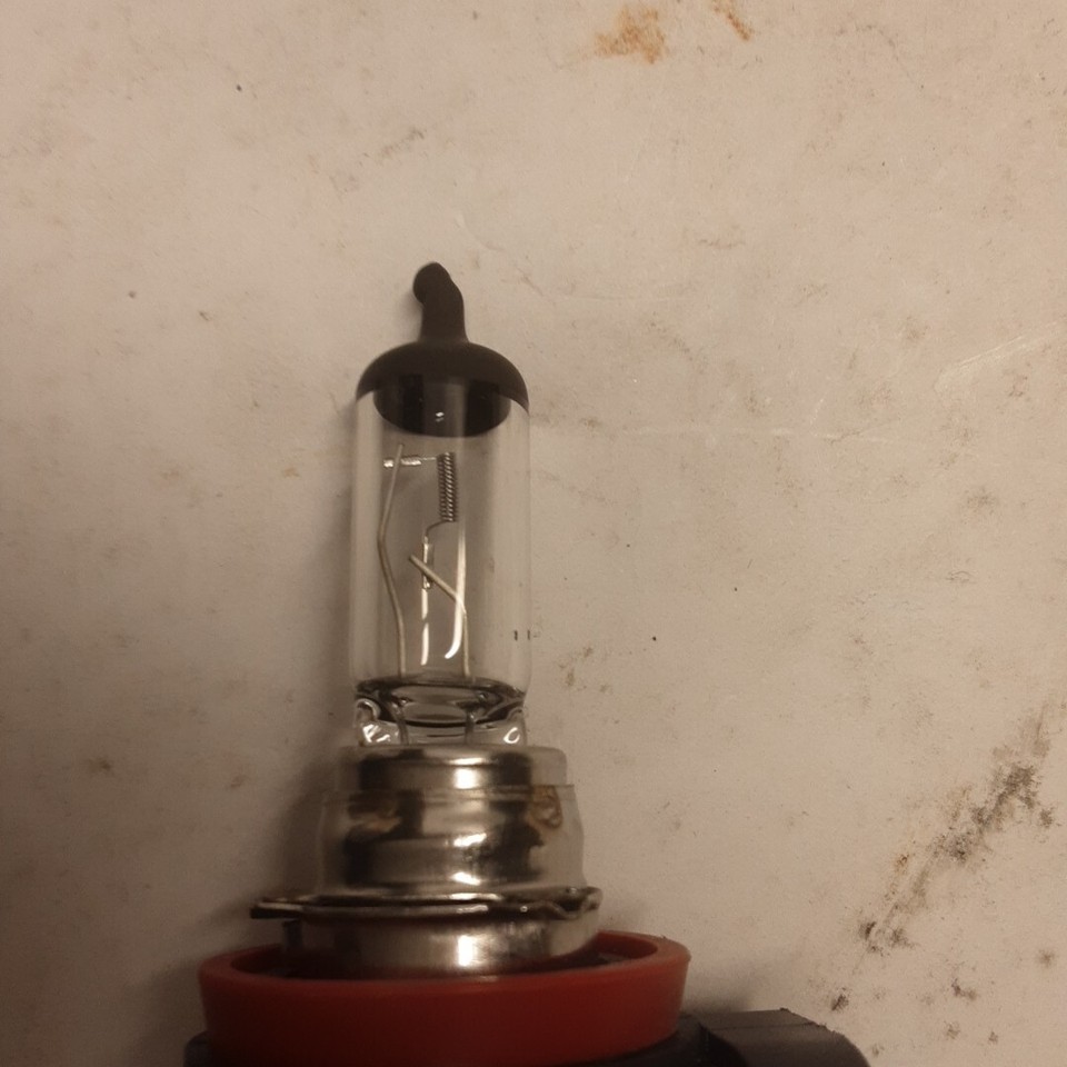 NEW 0821020 HALOGEN BULB H1155LL/H11LL (FREE SHIPPING!) | eBay