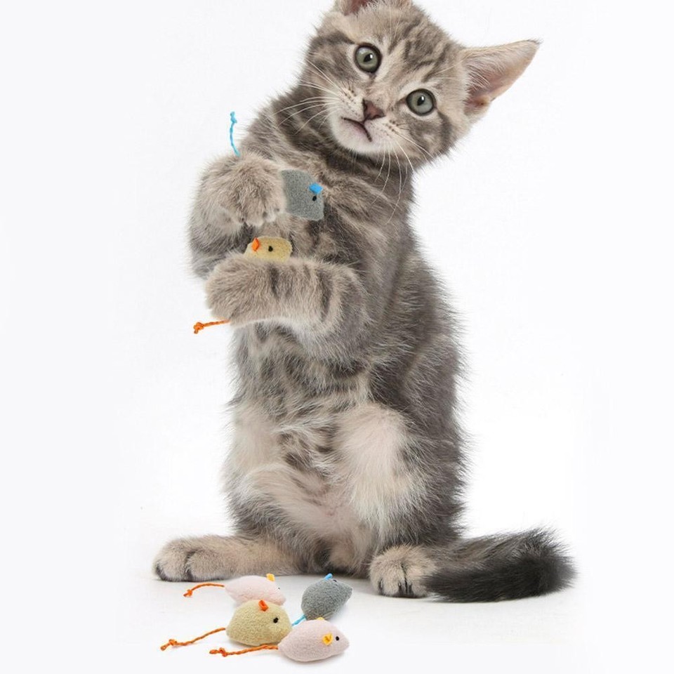 .Catnip Mice Mouse 3pc Pet Cat Kitten Toy Gift Chew USD Supplies NEW ...