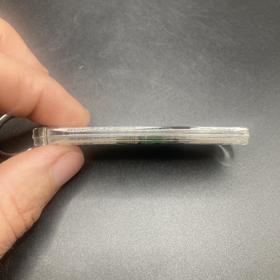 West Somerset Railway Minehead to Bishops Lydeard Key ring GWR Prairie ...