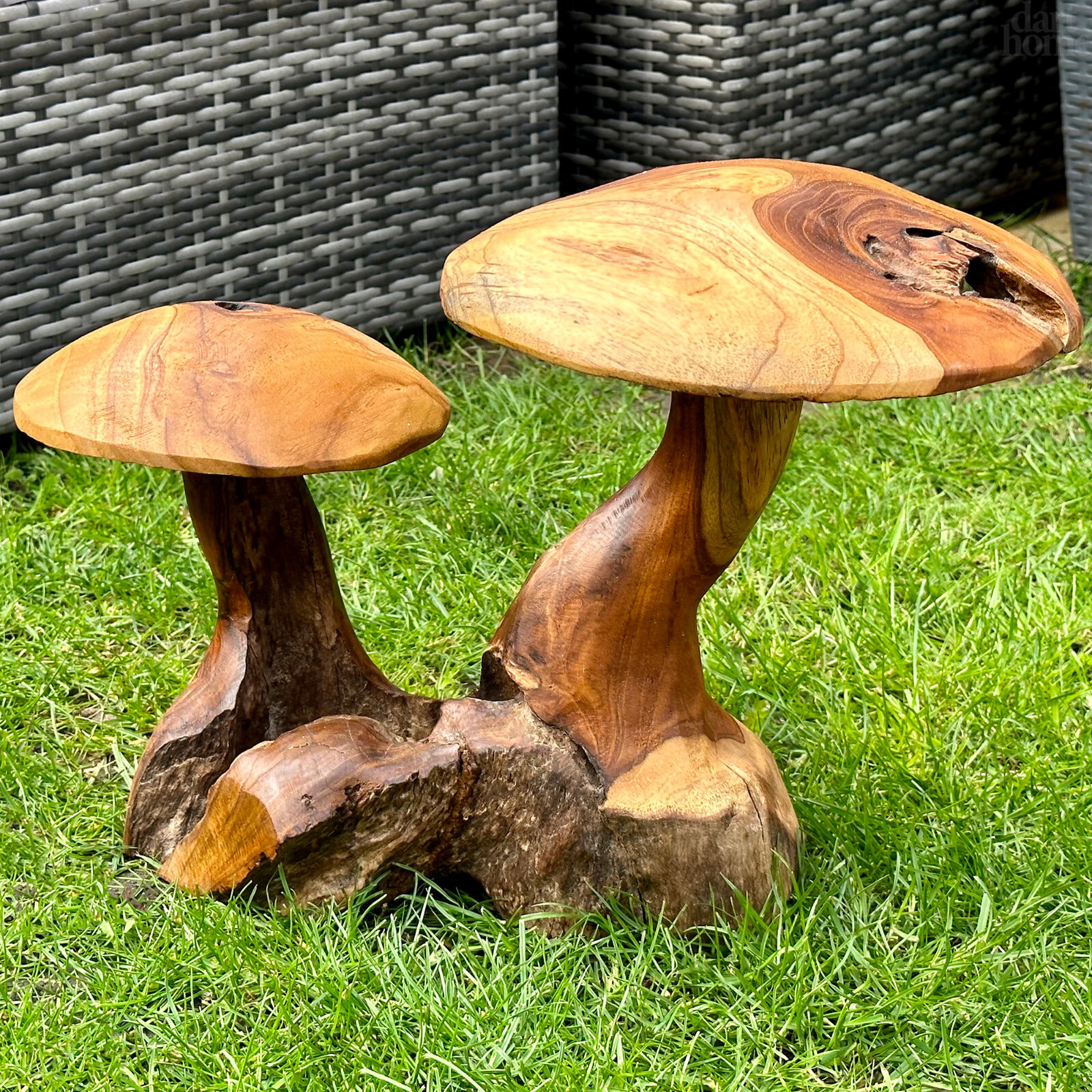 Teak Root Double Wild Mushroom Sculpture Hand Carved Wood Toadstools ...