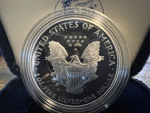 2000 P Silver American Eagle One Dollar Proof ASE Coin with Original ...