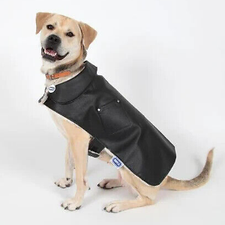 RSPCA Shop | eBay UK Stores