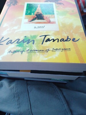 The Sunset Crowd: A Novel by Karin Tanabe Paperback Book 9781250840226 ...