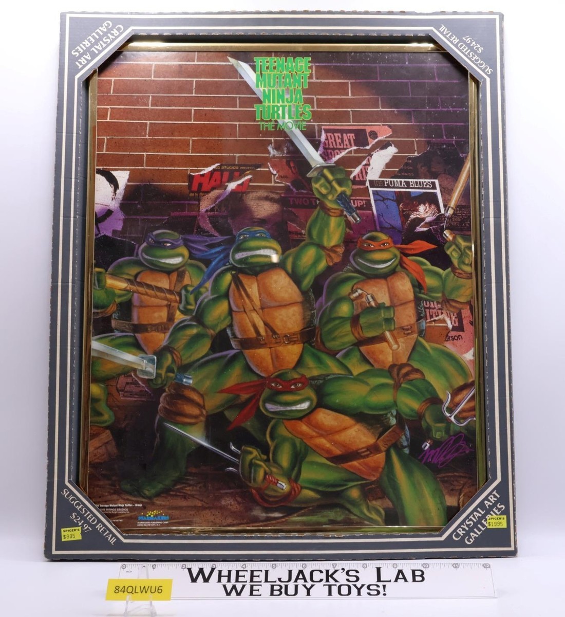 Teenage Mutant Ninja Turtles Frame